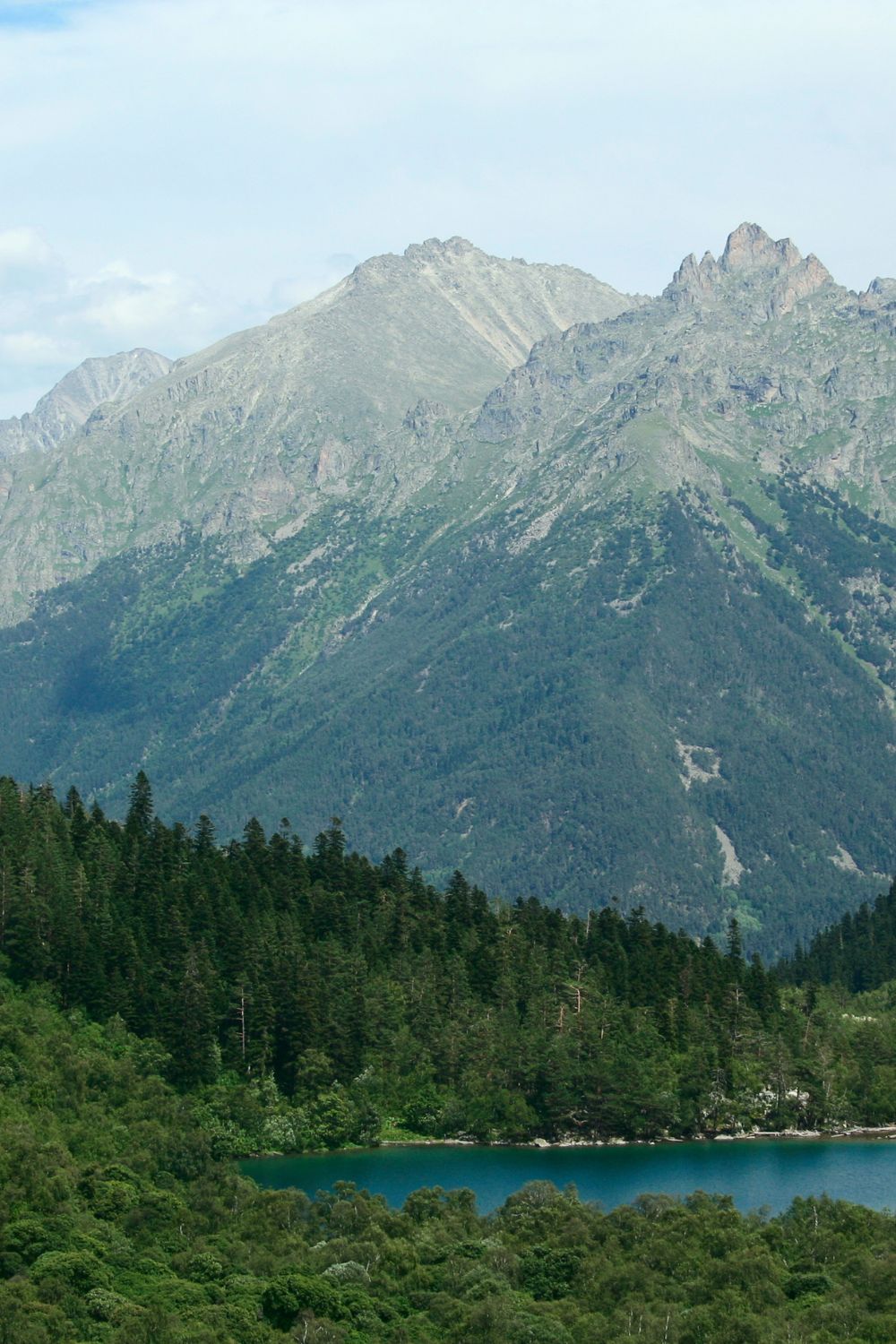 Made with Local – Made with Local